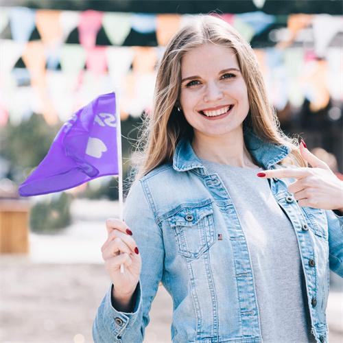 Custom Mini Flags,Small Custom Flags, Custom Hand Flags